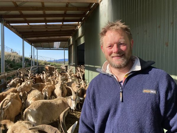 Announcing the 2025 Nuffield Scholarships | Nuffield Australia